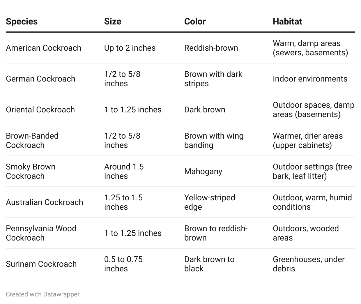 Louisiana Cockroach Guide | Blog | LaJaunie's Pest Control