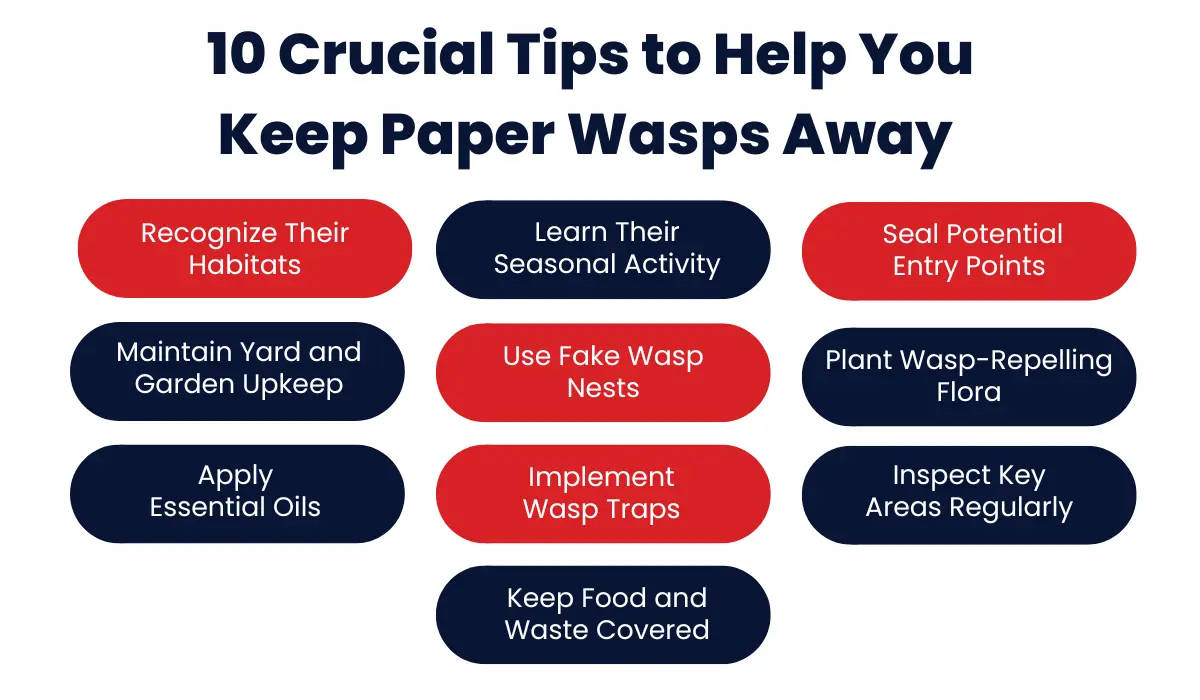 10 Crucial Tips to Help You Keep Paper Wasps Away | LaJaunie's Pest Control