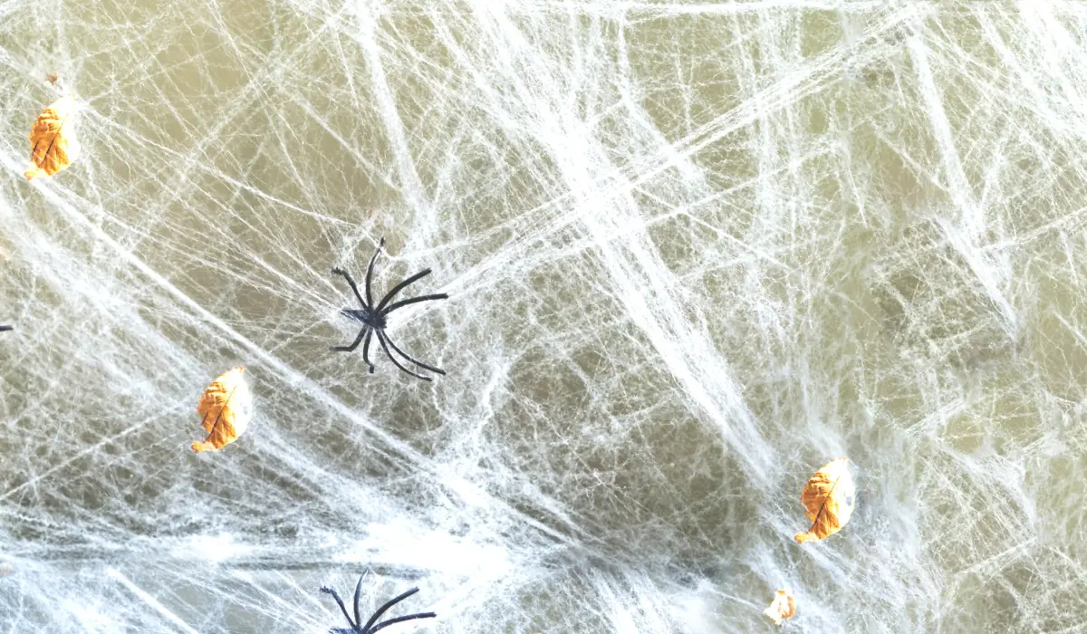Don’t Let Pests Crash the Party: Expert Advice for Pest-Free Halloween ...