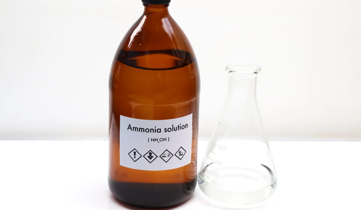 Does Ammonia Work As an Ant Killer?