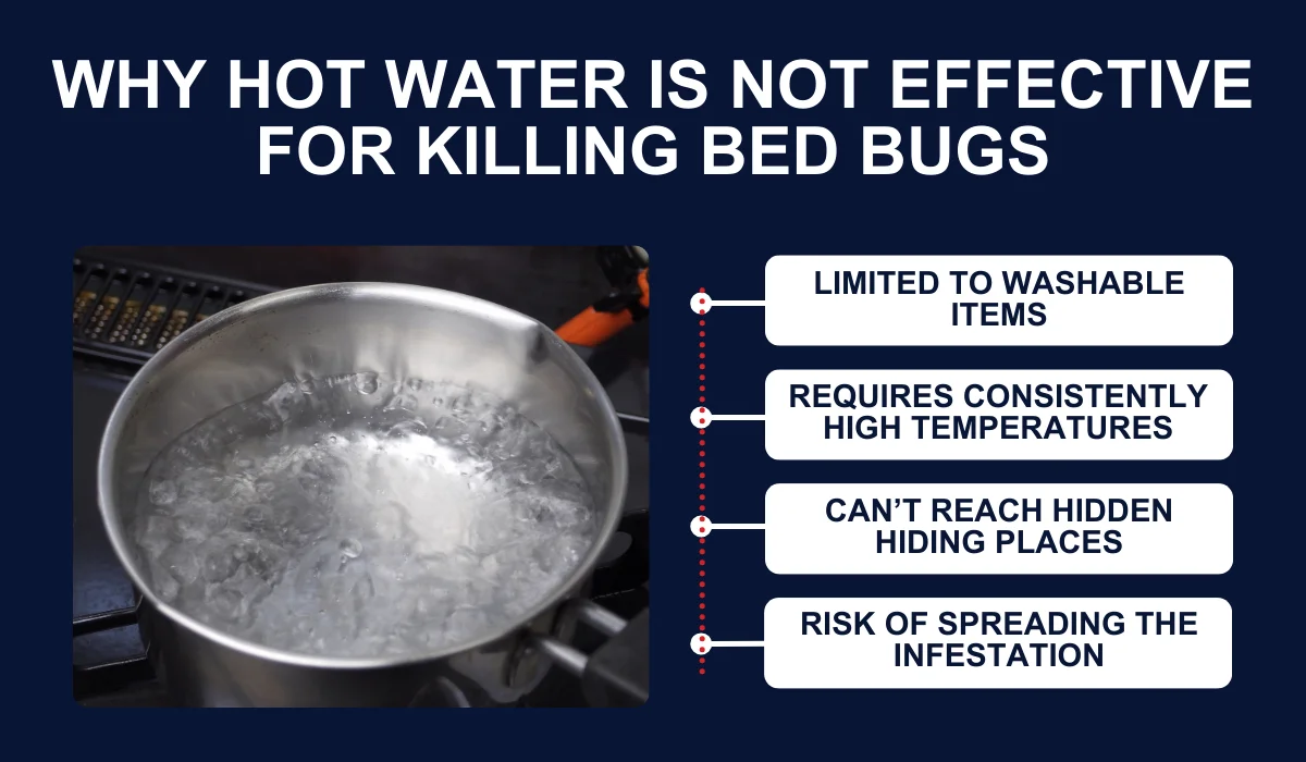 Will Hot Water Kill Bed Bugs?