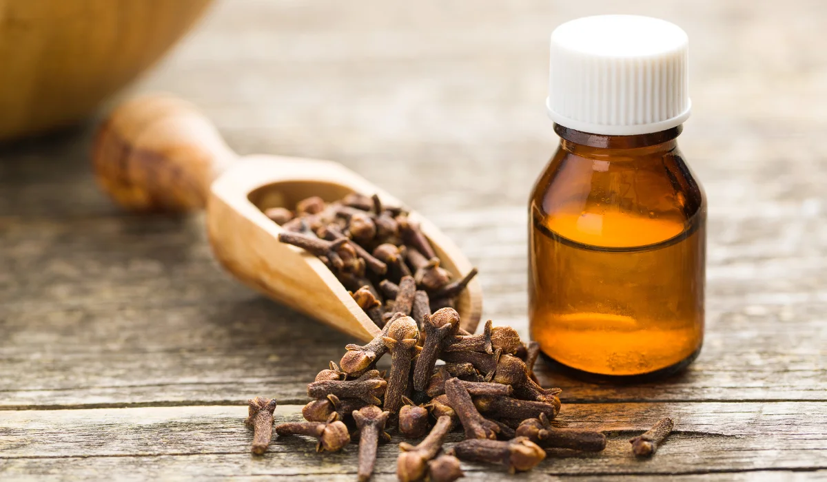 10 Essential Oils For Getting Rid of Ants
