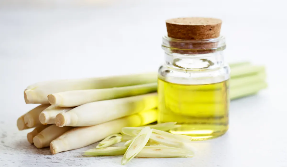 10 Essential Oils For Getting Rid of Ants