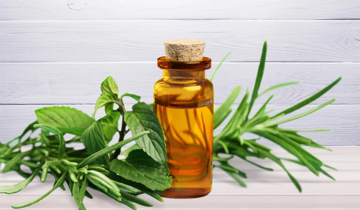 10 Essential Oils For Getting Rid of Ants